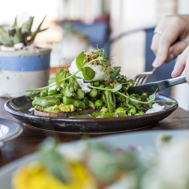 Native Cafe Ulladulla - Wholefoods & Coffee